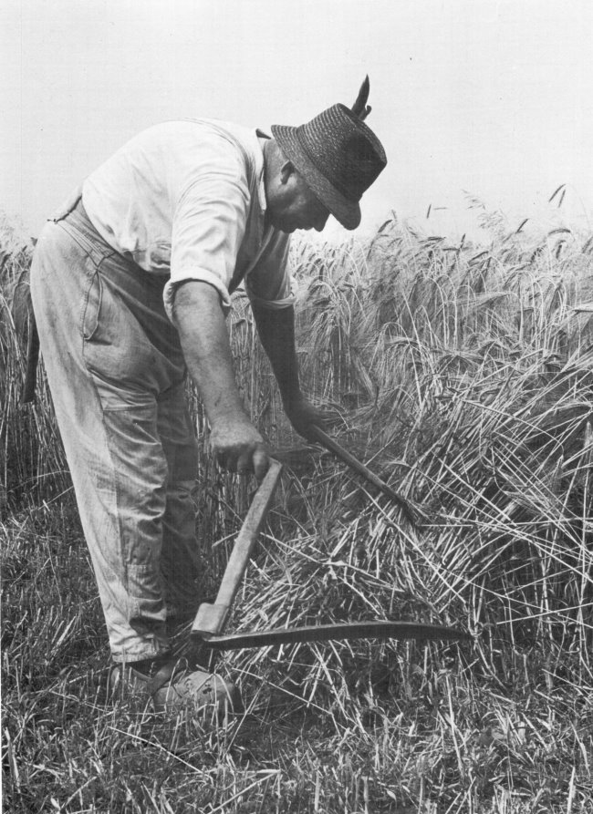 Der „Sensenmann“ von Kleve - KLE-Blatt Blog